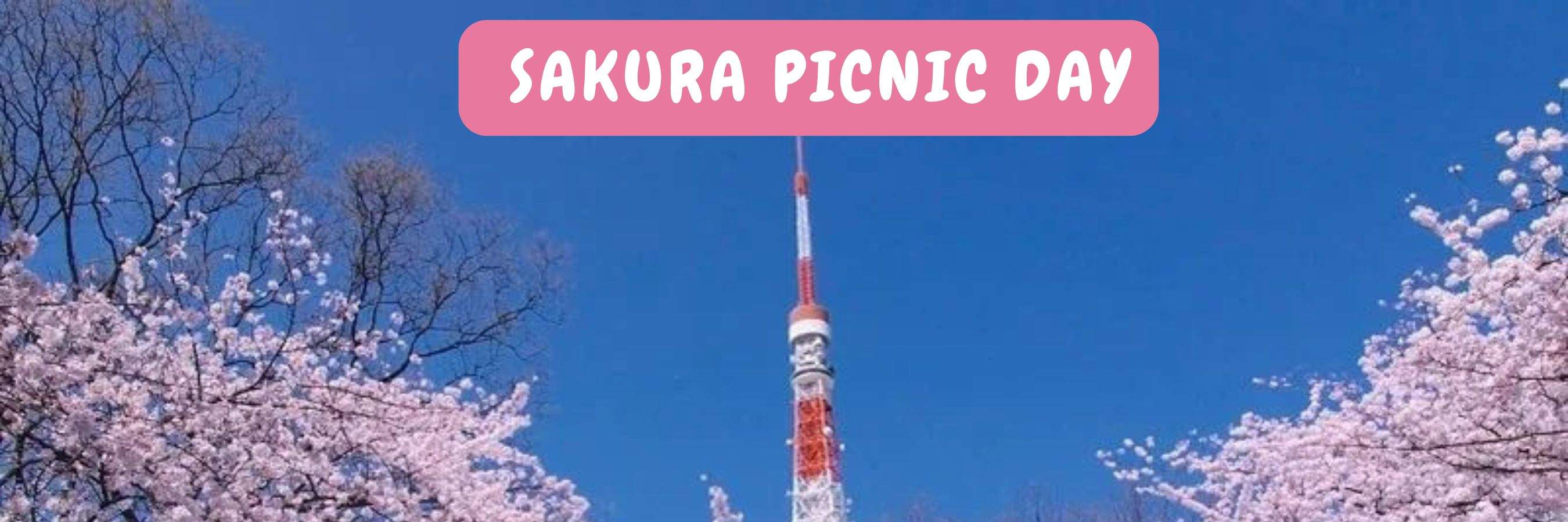 【Tokyo Cherry Blossom Festival】Asukayama Park & Rikugien Garden ...